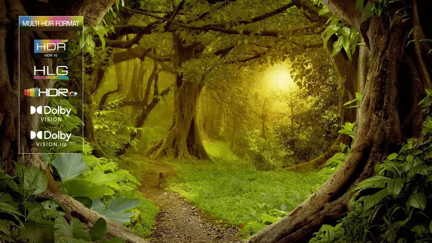 TCL 75T8B | NetOnNet