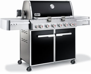 Weber Summit E 650 NetOnNet